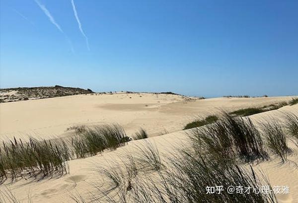 免费心理咨询：怎么样克服紧张心理？ 知乎