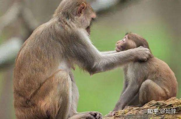 女生湿了就是想要吗？ - 知乎