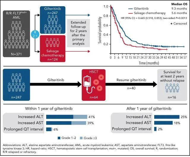 杰论系列 | FLT3基因突变与AML治疗 - 知乎