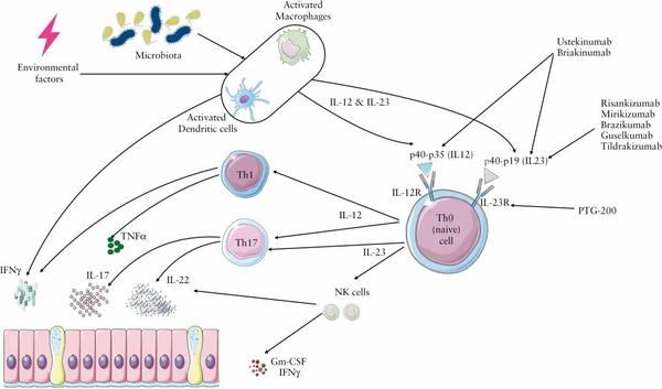 4款产品同一靶点：IL-23是炎症性肠病的未来 - 知乎