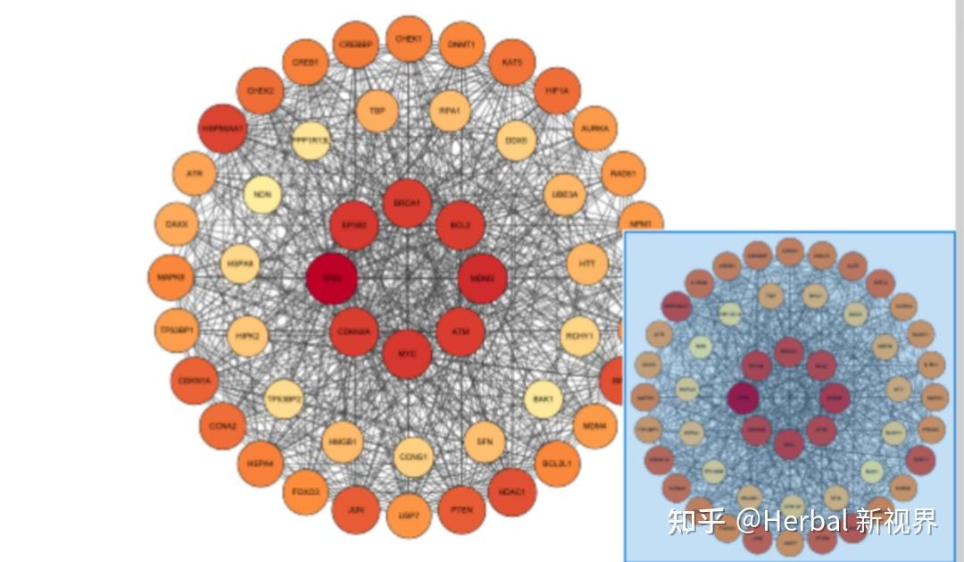 手把手教学｜String数据库与Cytoscape软件联合应用 - 知乎