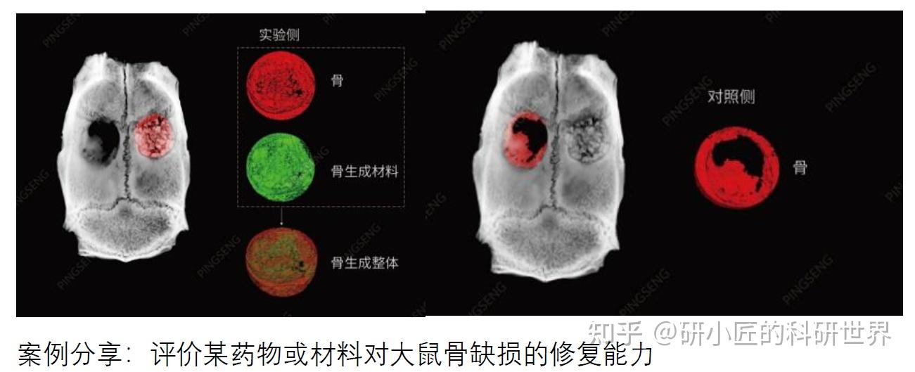 实验动物成像技术-micro-CT|研小匠的科研笔记 - 知乎