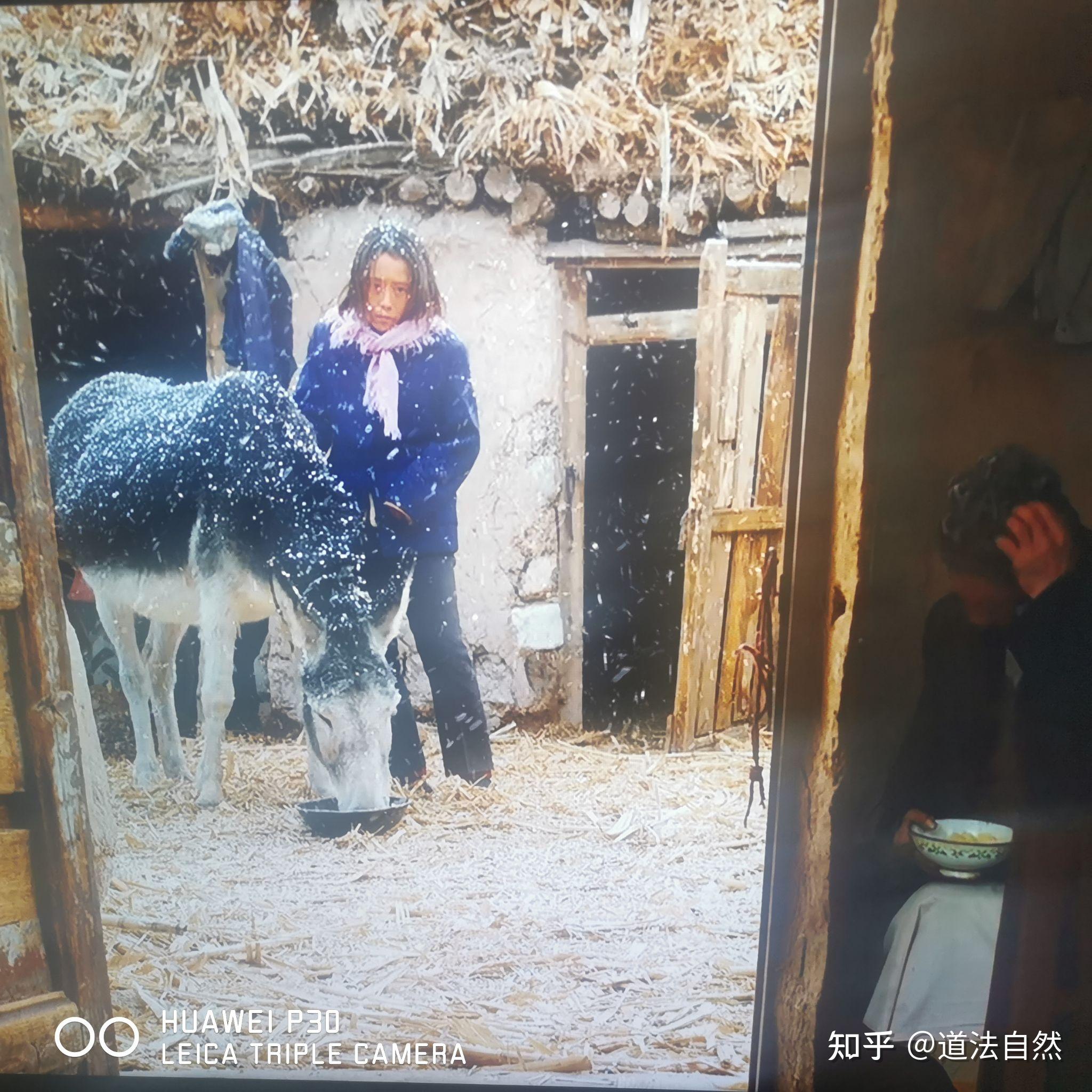 电影《隐入尘烟》观后感 知乎
