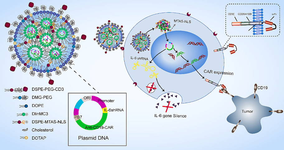 既可独自美丽，也可团队合作的CD3 - 知乎