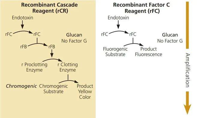 重组鲎试剂(rCR)与重组C因子(rFC)质量对比测评 - 知乎