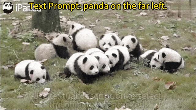 视频分割大结局！浙大最新发布SAM-Track：通用智能视频分割一键直达 - 知乎