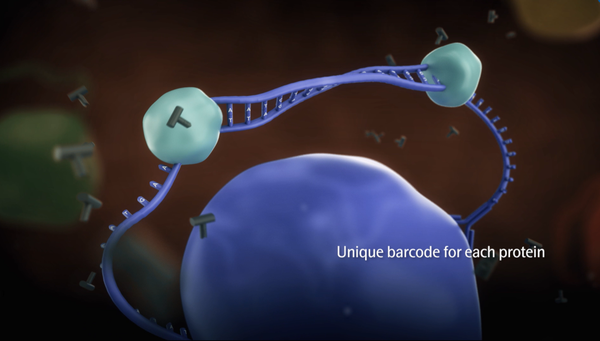 超灵敏的Olink蛋白组学，助力精准医疗发展的“黑科技” - 知乎
