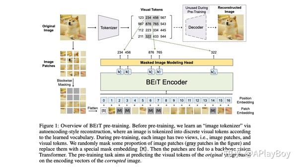 一文搞懂多模态：BeiT-3之前的14个多模态+4个周边原理解读 - 知乎