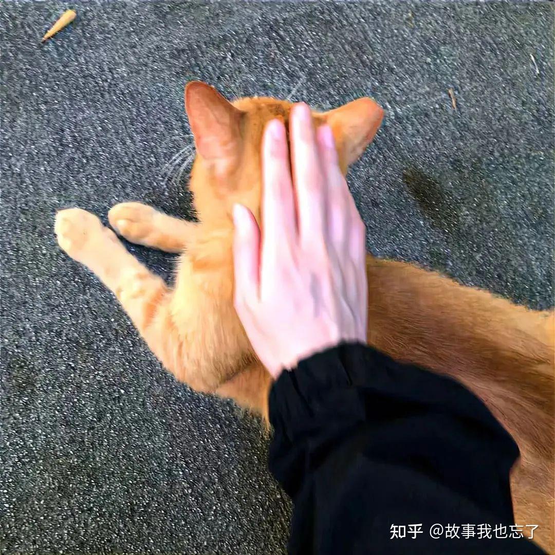 深夜emo伤感情绪文案 知乎