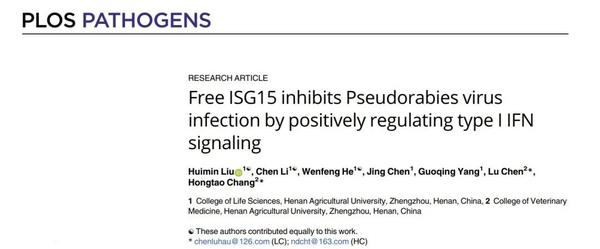 Plos Pathogens︱河南农业大学刘慧敏/陈陆团队揭示游离态ISG15抑制PRV复制的分子机制 - 知乎