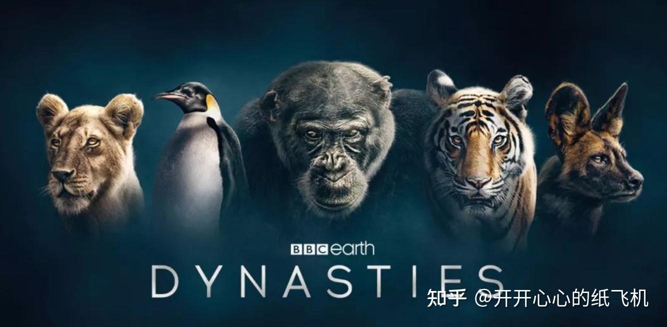 必看BBC《378部总共2500集》经典纪录片 - 知乎