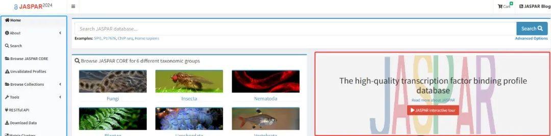 JASPAR，一款非常好用的转录因子结合位点数据库 - 知乎