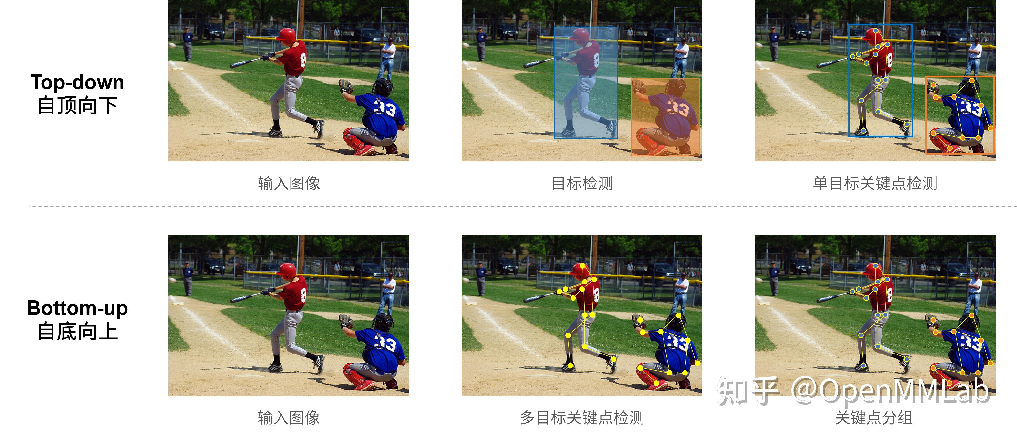 MMPose 1.0：迈向更优雅、更强大的姿态估计研发和应用框架 - 知乎