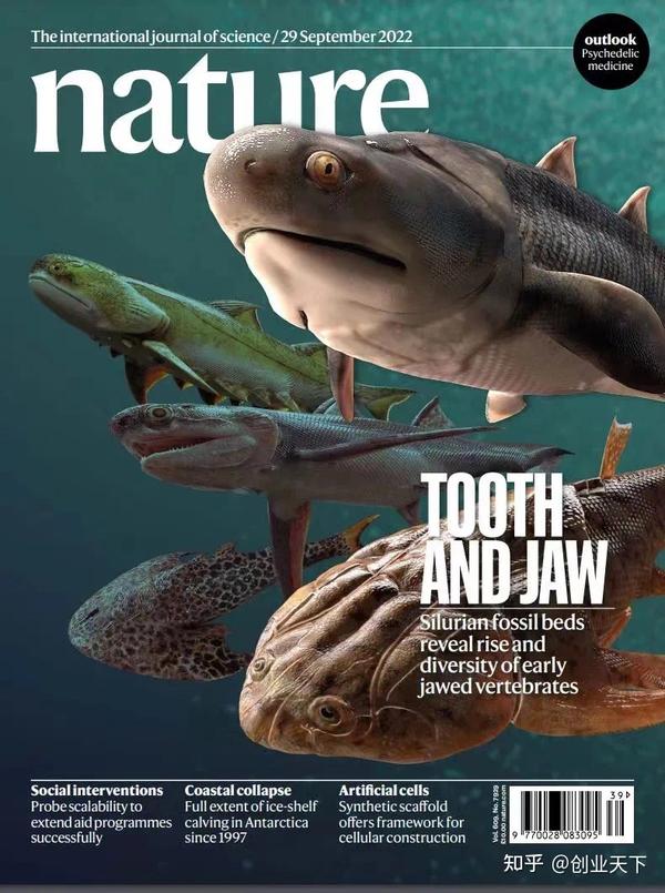 《自然》封面四文齐发！我国最新研究改写“从鱼到人”演化史 - 知乎