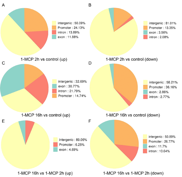 项目文章 | IF>6! ATAC-seq联合RNA-seq揭示转录因子AGL18通过乙烯-生长素交互作用调控番木瓜成熟 - 知乎