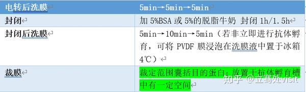 Western Blot完整实验流程-从蛋白提取到结果分析。带你玩转WB! - 知乎