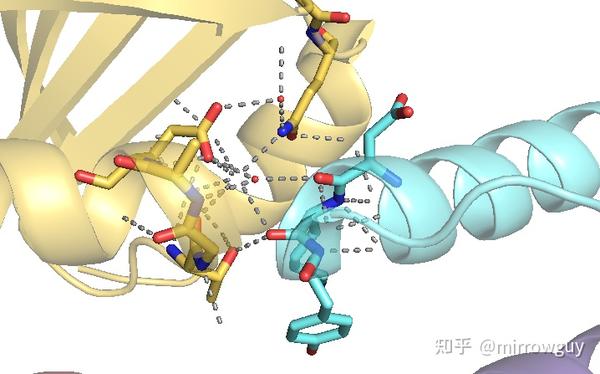 使用PyMOL软件制作文献中的蛋白质结构图 - 知乎