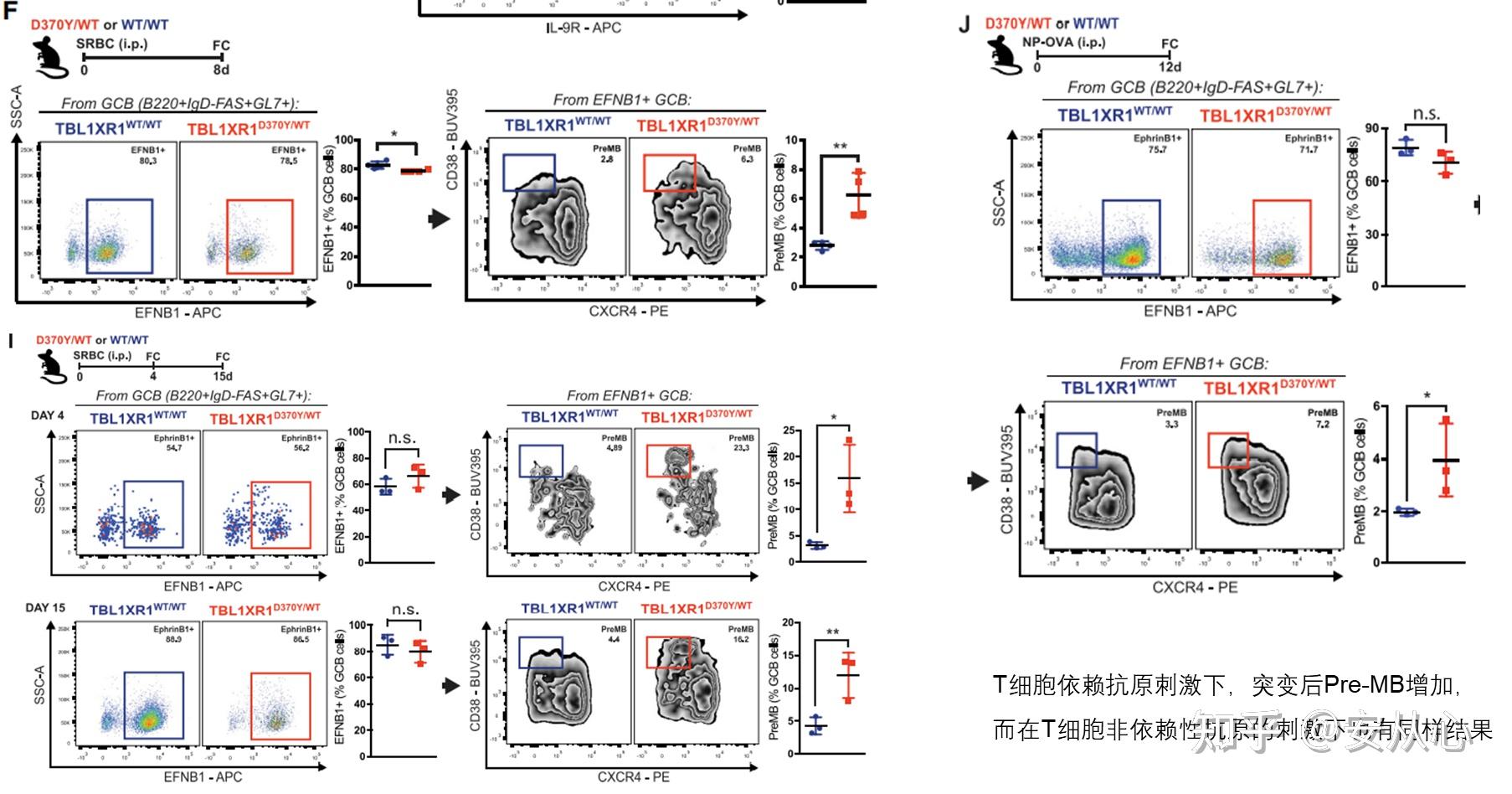 TBL1XR1突变通过诱导促肿瘤程序驱动结外淋巴瘤 - 知乎