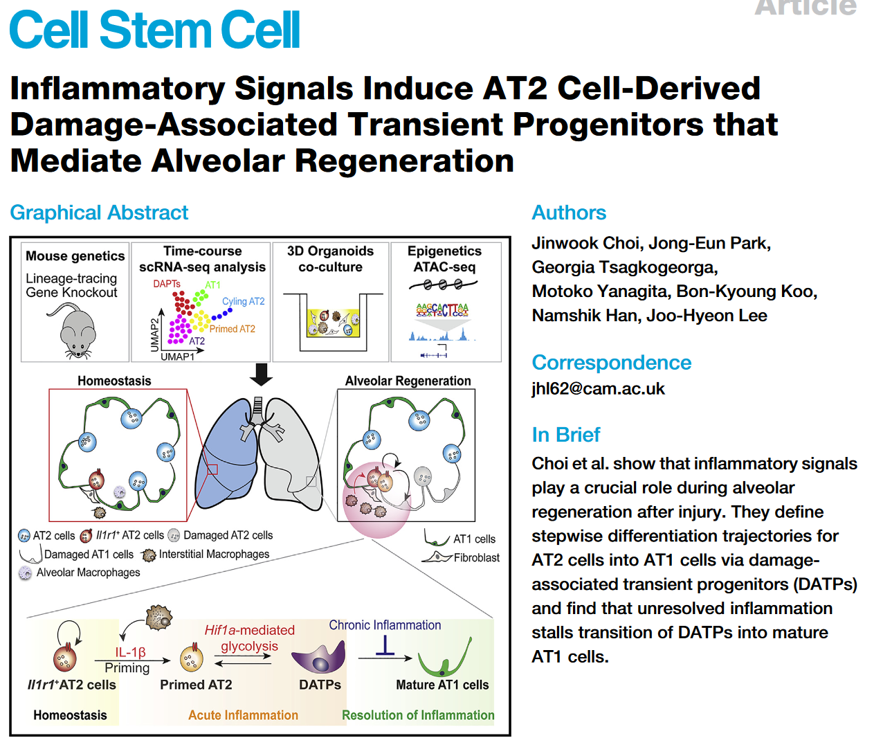 241021 文献泛读 AT2 / AT1 - 知乎