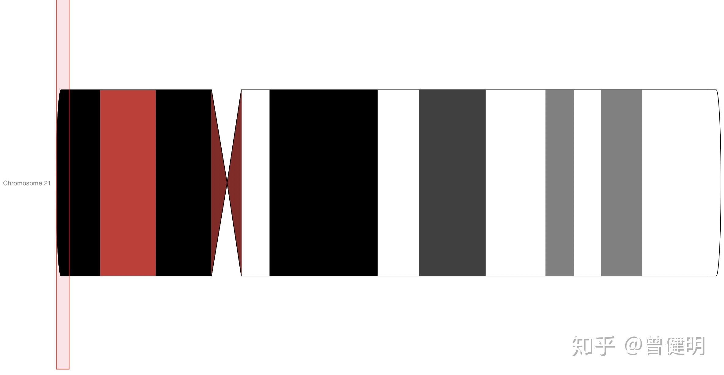 能一定程度上代替IGV的R包Gviz绘制基因组区域reads覆盖情况 - 知乎