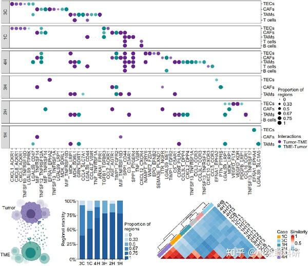 文献详解丨肿瘤与免疫细胞互作好比锁钥？这篇NC文章把scRNA-seq玩出新花样 - 知乎