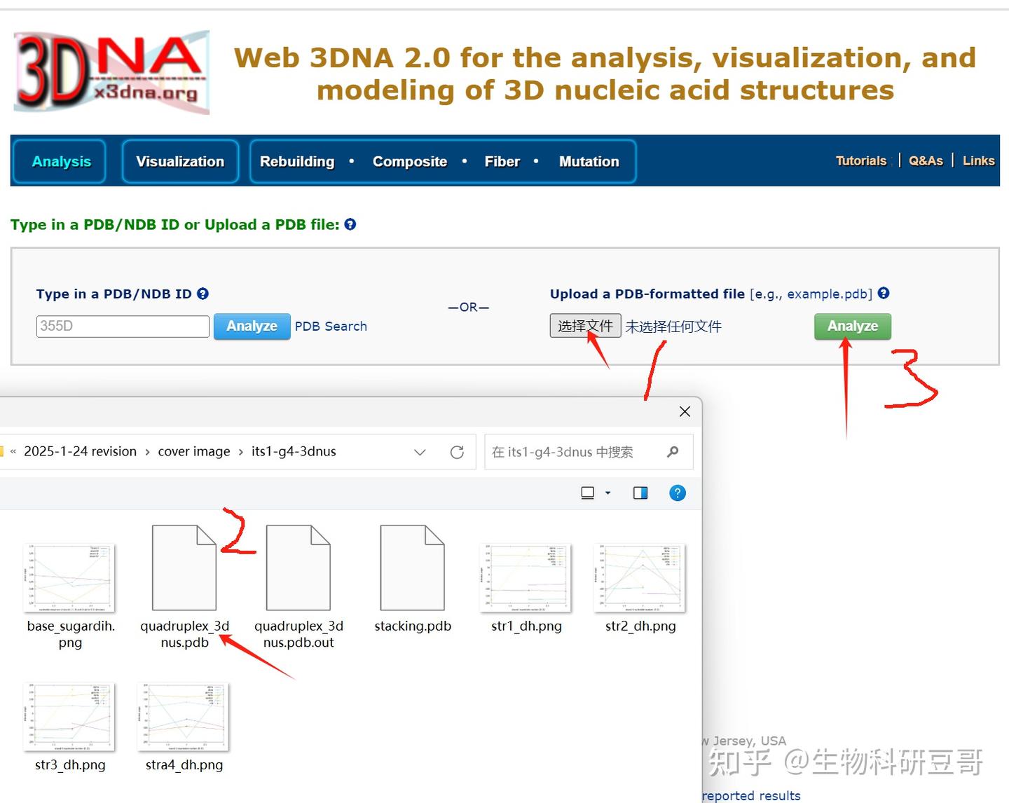 根据DNA序列预测G-四链体3D结构？Predict the 3D structure of G-quadruplex (G4 ...