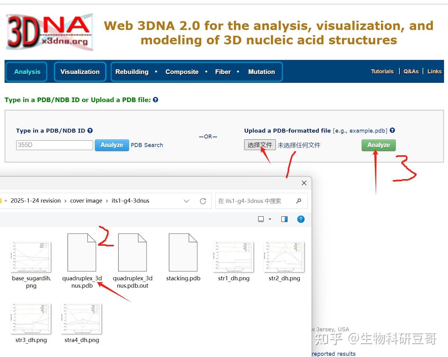 根据DNA序列预测G-四链体3D结构？Predict the 3D structure of G-quadruplex (G4 ...