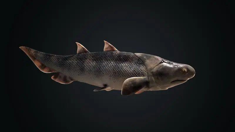 人是鱼进化来的？曲靖师院以第一作者单位在《Nature》同时发表3篇论文“从鱼到人”探源研究取得重大突破 - 知乎