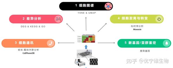 【优方案】TIL肿瘤浸润淋巴细胞——Cell Based Solution - 知乎