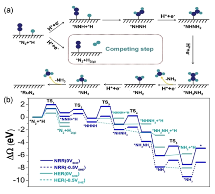 理论计算在电催化中的应用 - 知乎