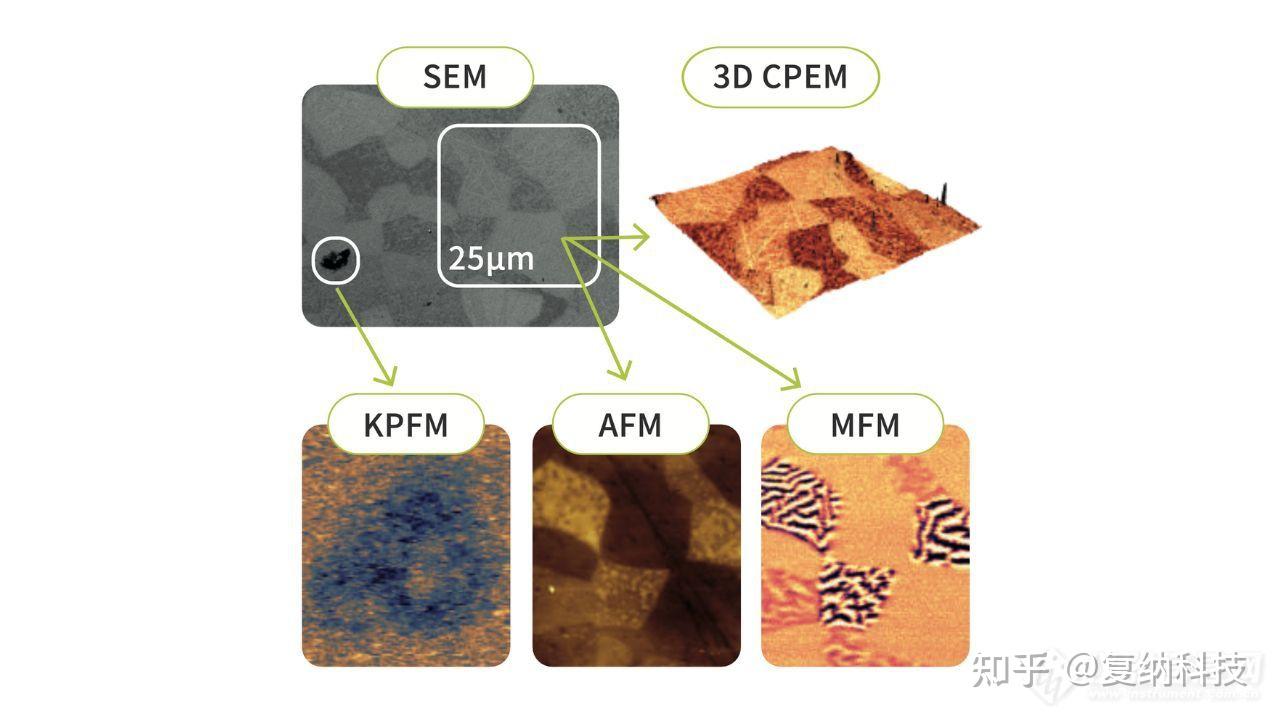 AFM-SEM 同步联用技术 - 知乎