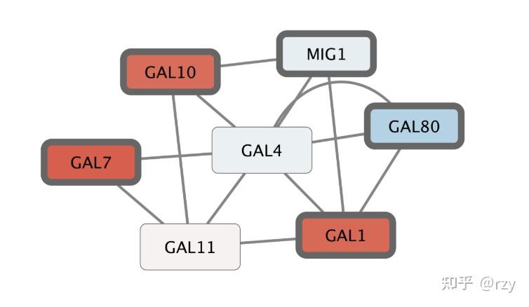 Cytoscape基础使用 - 知乎