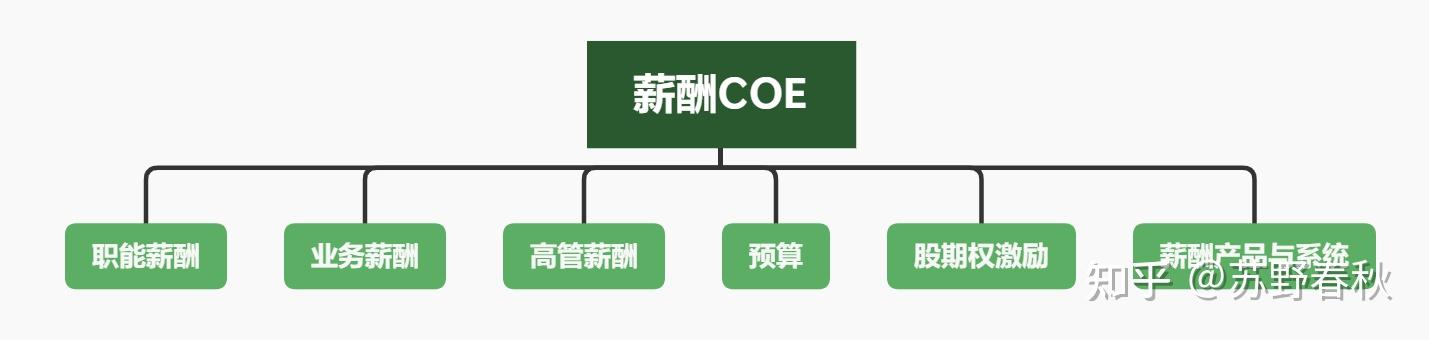 《薪酬COE的第一本书》第1章-3：薪酬COE的分工与基本能力要求 - 知乎