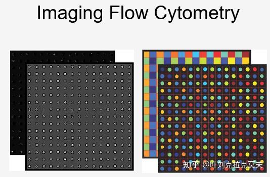 开源科学工程技术软件介绍59 – 细胞图像分析软件CellProfiler - 知乎