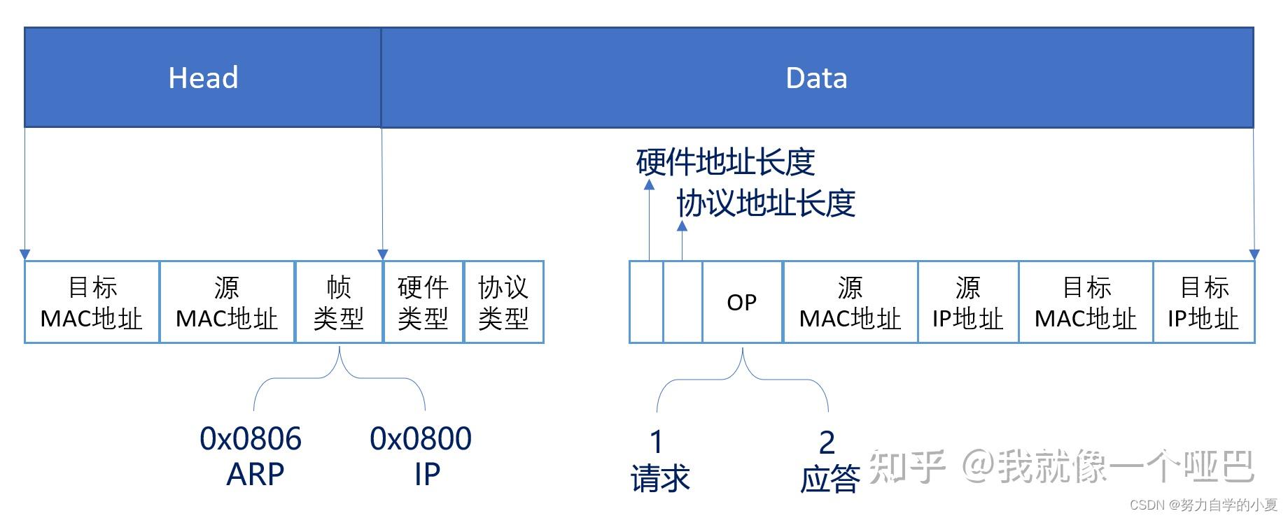 正点原子lwIP学习笔记——ARP协议 - 知乎