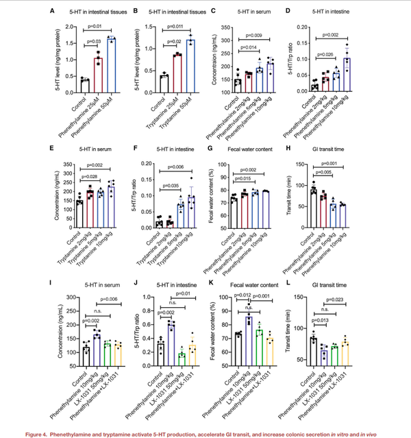 动物模型实验|香港浸会大学团队研究揭示活泼瘤胃球菌通过转化芳香氨基酸促进5-HT合成加重IBS-D新机制 - 知乎