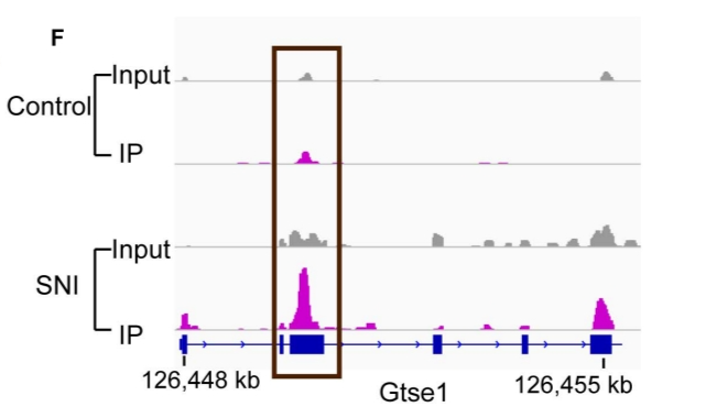 5fC DNA甲酰基胞嘧啶测序 - 知乎