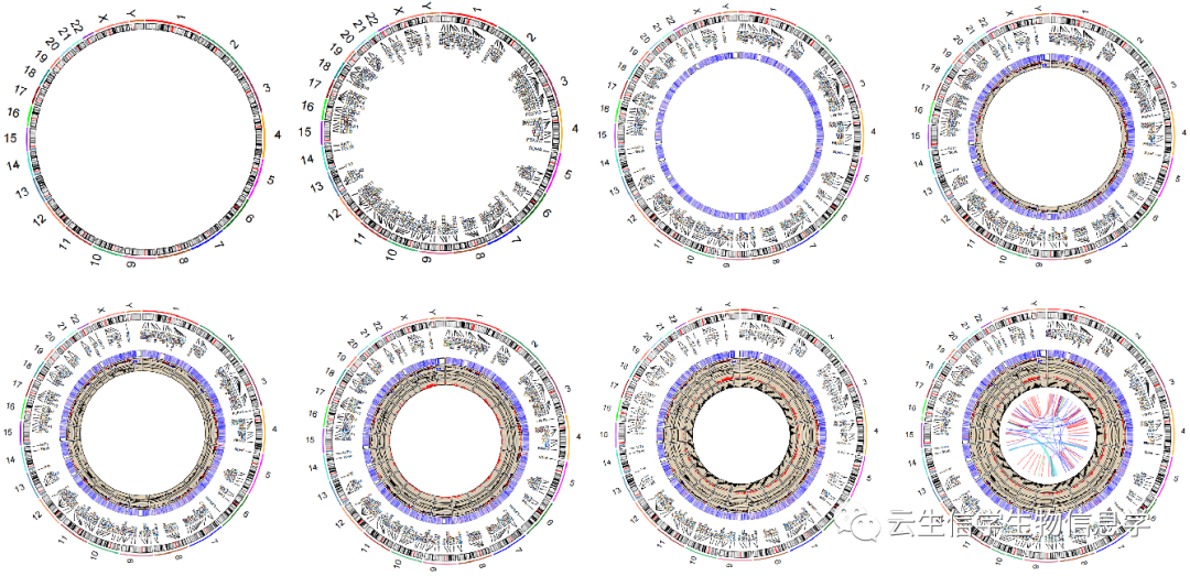 代码分享│R可视化：高分文章绘图之基于RCircos包的多类型圈图绘制 - 知乎