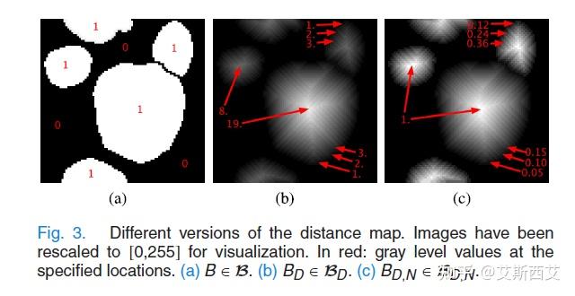 Segmentation of Nuclei in Histopathology Images by Deep Regression of ...