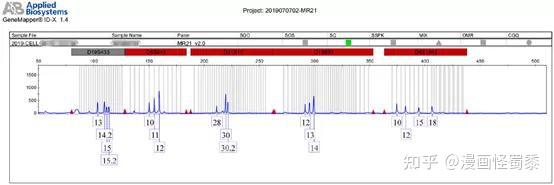 STR鉴定报告数据解读指南 - 知乎