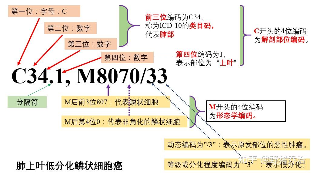 ICD-10 和 ICD-O-3到底是什么？如何利用二者指导恶性肿瘤的理赔？ - 知乎