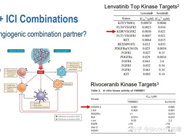 LEAP002及双艾组合一线治疗HCC成功/失败的多维度对比 - 知乎