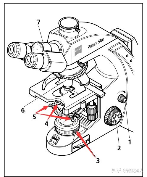 显微基础丨显微镜基础操作指南（明场） - 知乎