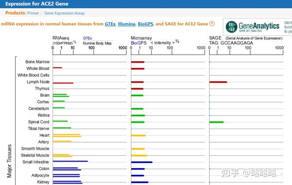 GeneCards数据库——强大的基因信息库 - 知乎