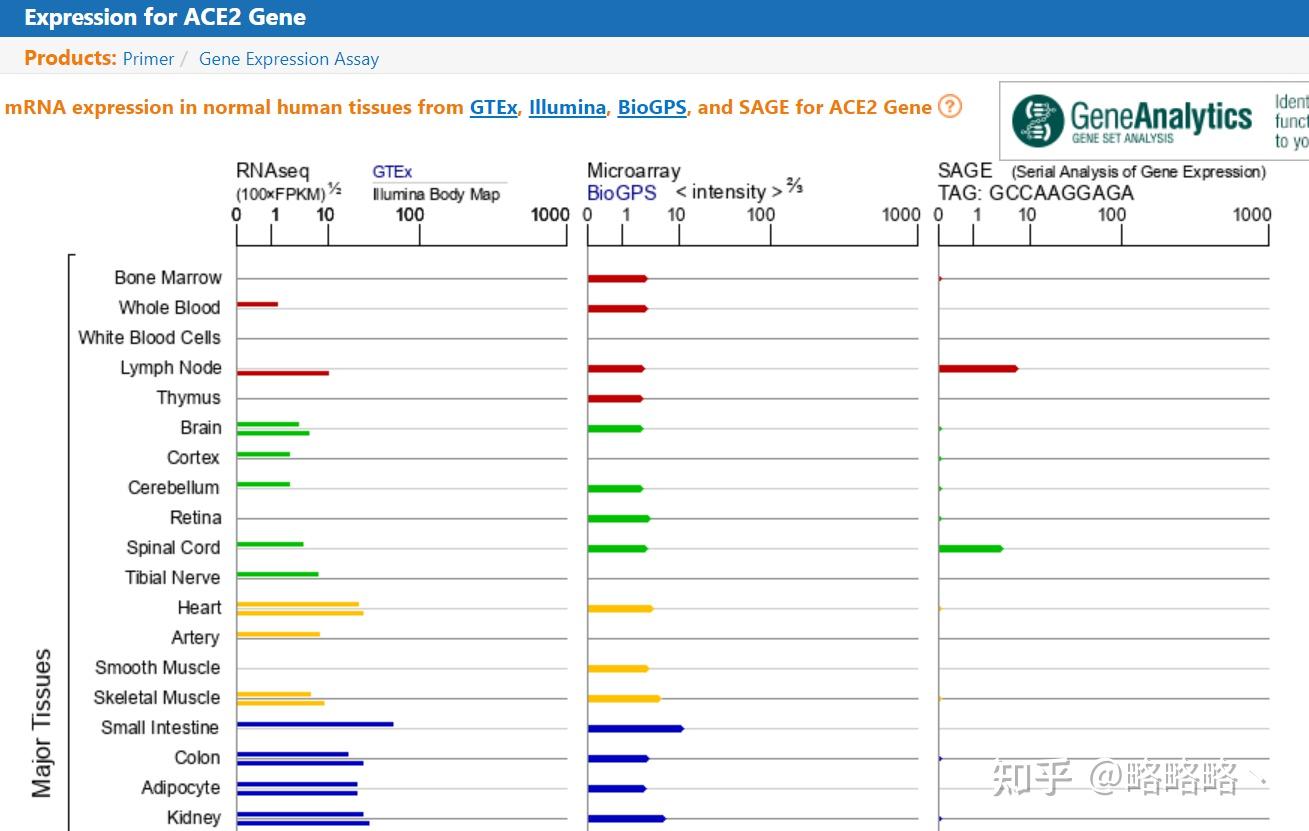 GeneCards数据库——强大的基因信息库 - 知乎