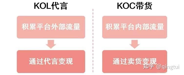 短视频kol,koc资源 - 知乎