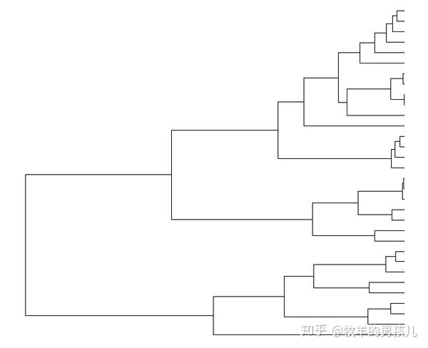 R语言ggtree画圆形的树状图展示聚类分析的结果 - 知乎