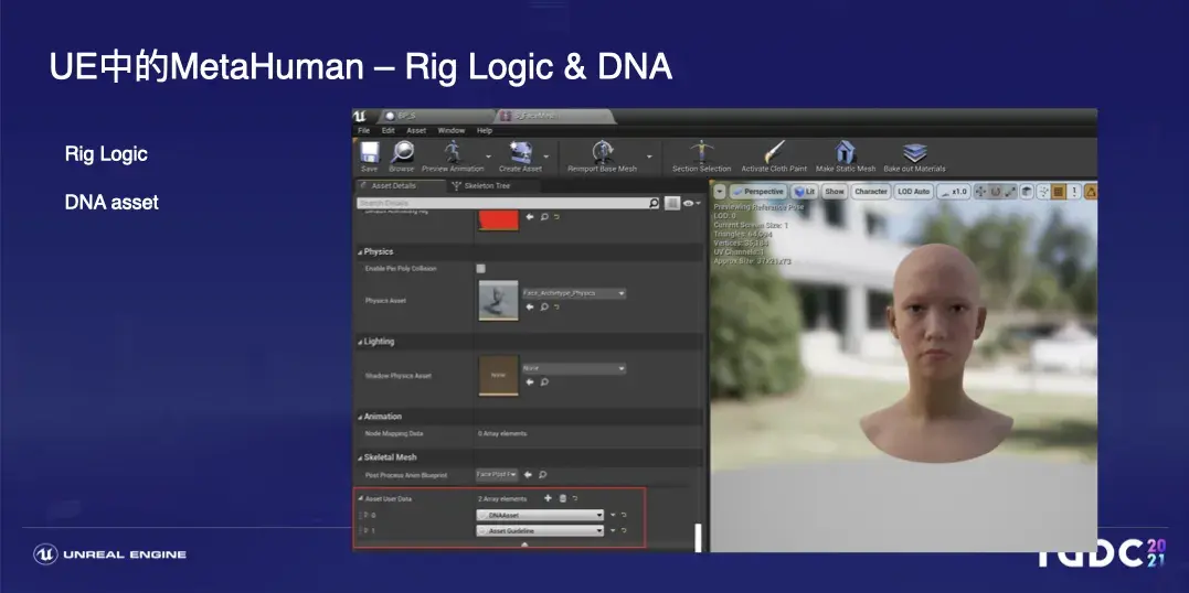 MetaHuman原理及流程浅析 - 知乎