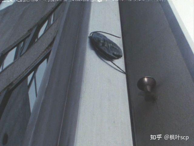 超重甲战队表现 - 知乎