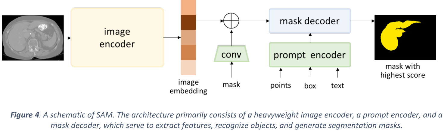 SAM/SAM2赋能视频万物分割与追踪：一篇“过去、现在、未来”的全面综述 - 知乎